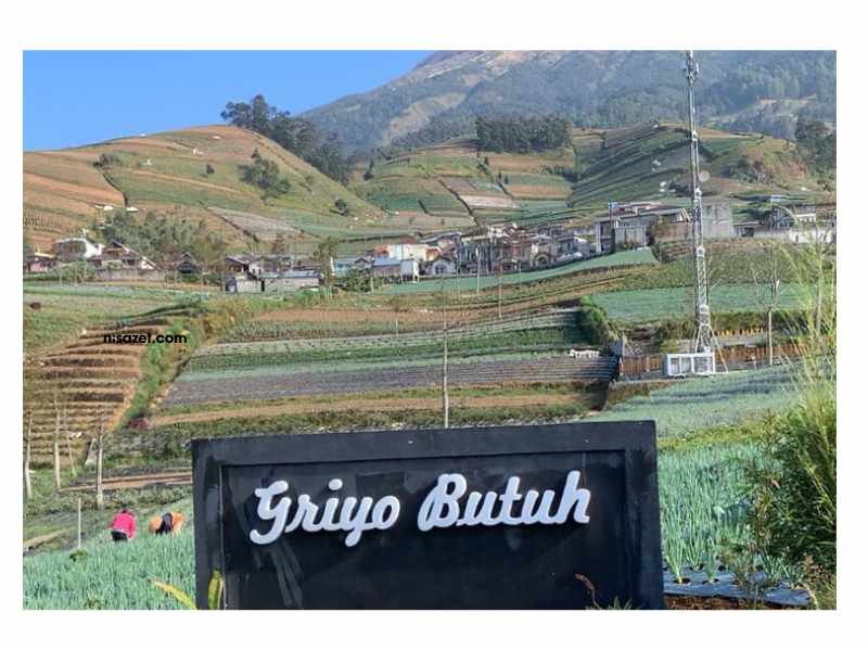 √Pengalaman Menginap di Griyo Butuh - www.nisazet.com